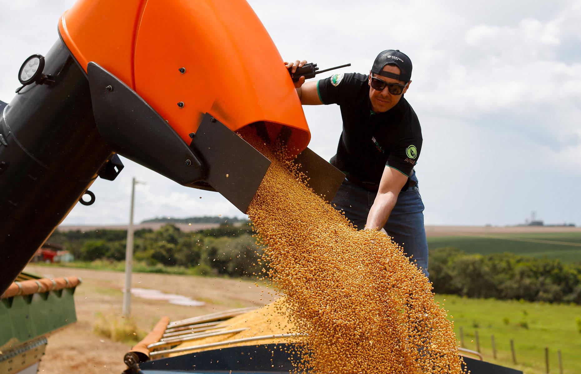 11 countries that control the world's food supply