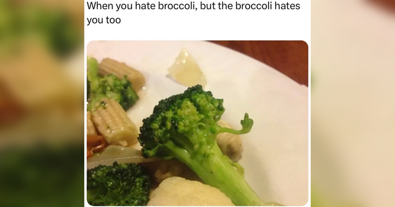 Broccoli memes for people who eat their veggies