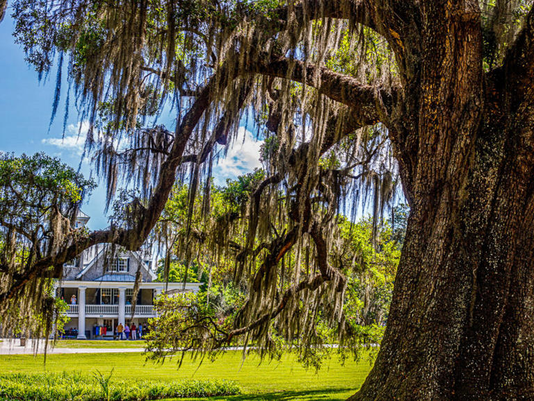 The perfect 4 days in Charleston, SC: A complete itinerary guide