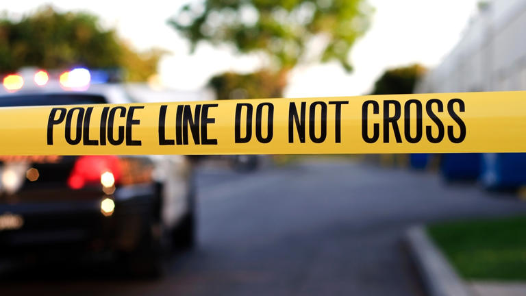 Man charged with murder after allegedly beating 84-year-old with dementia