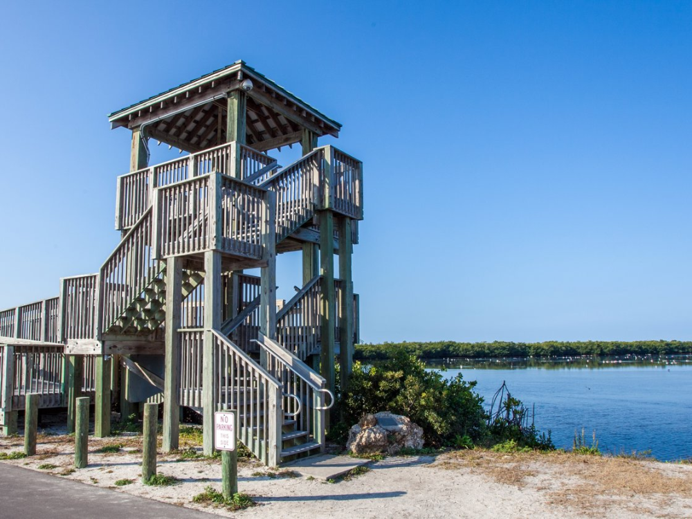 17 US wildlife refuges that make summer feel like a nature field trip