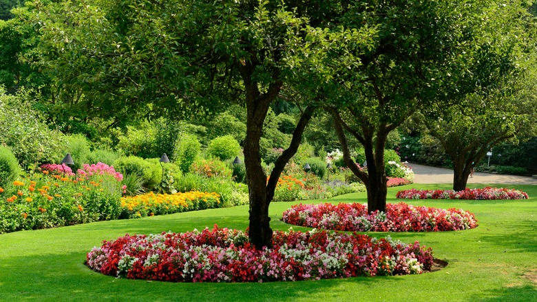 How to use the existing trees in your yard to enhance your landscaping