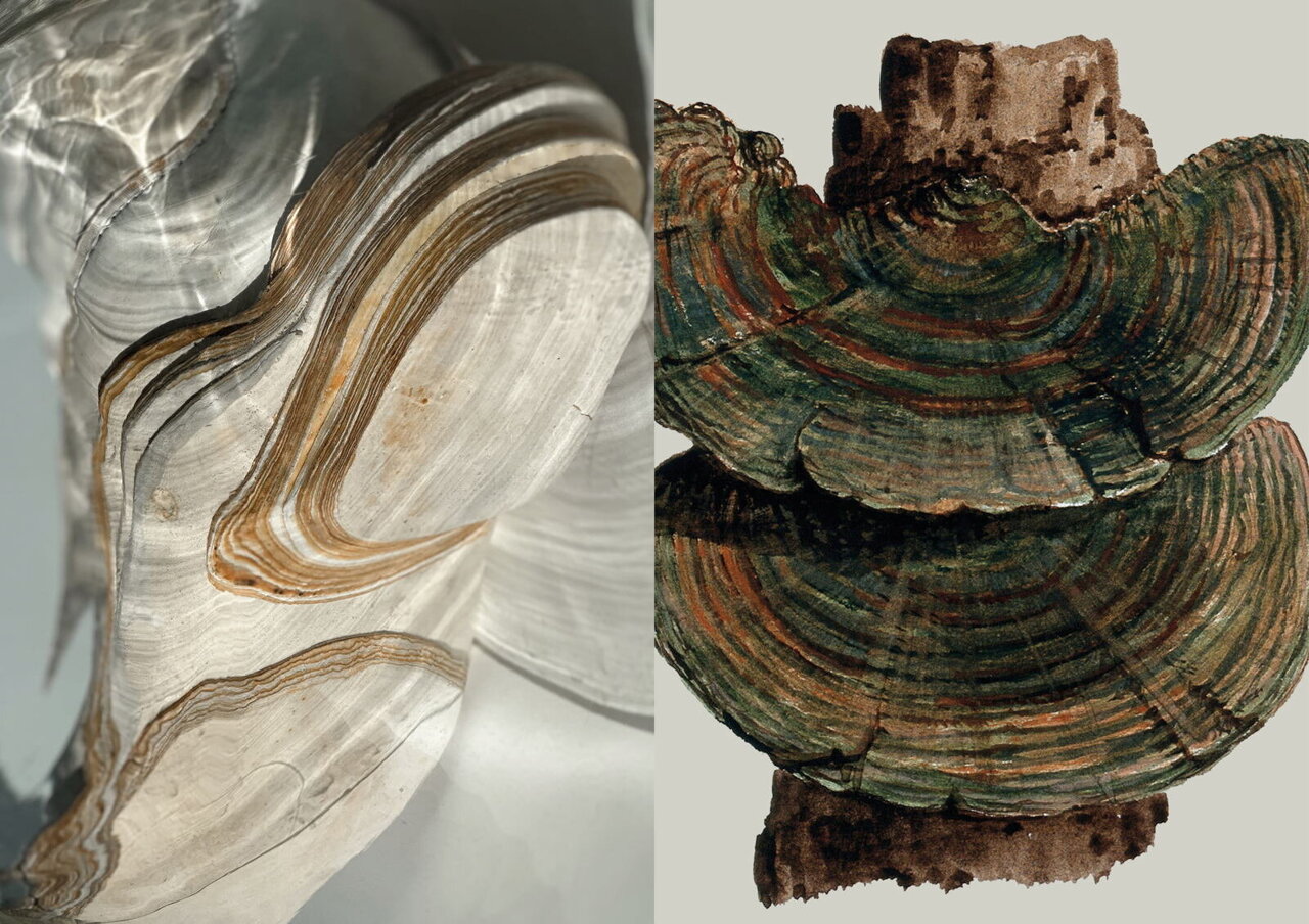 Pure mycelium shoe debuts in Milan with a load-bearing fungal sole