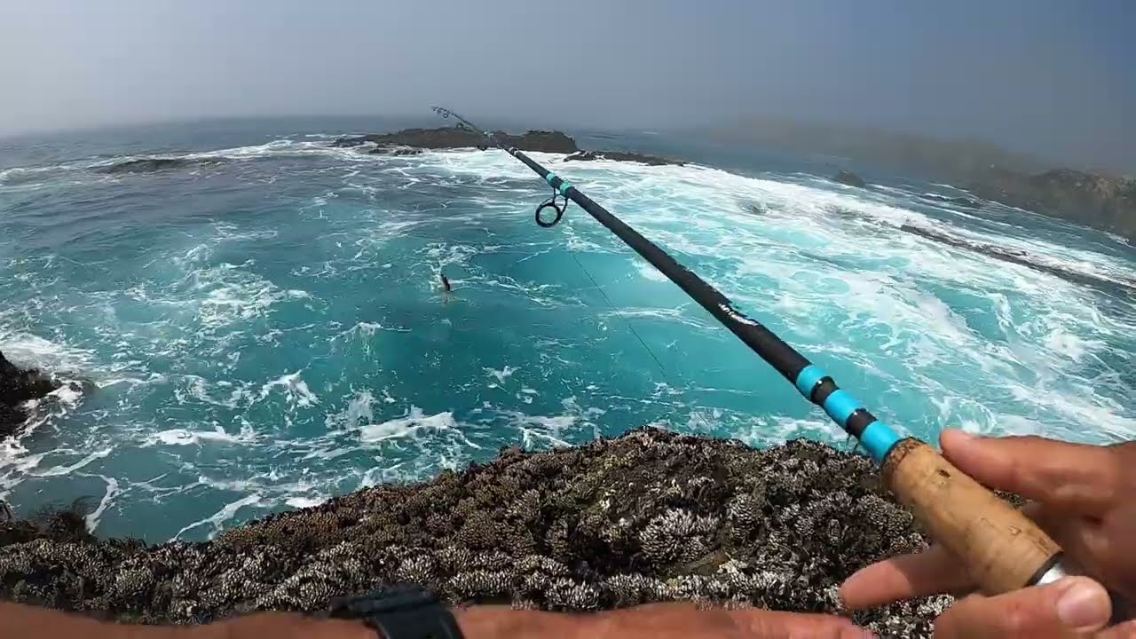 Fishing and cooking: my perfect day!