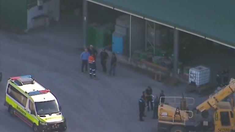 More than 16,000 Aussie jobs just opened up - no experience required