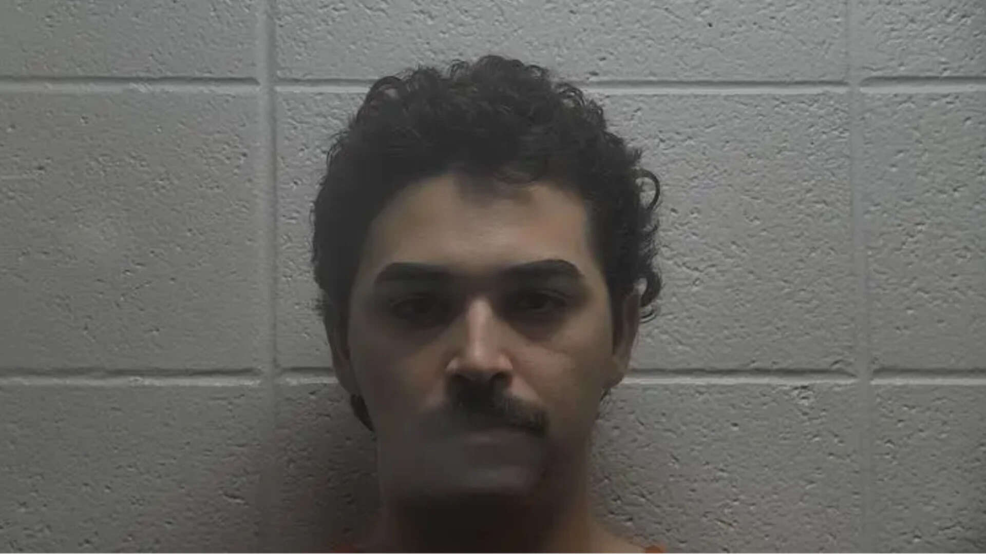 ‘Pull skin off, feed it to stray dogs’: Kentucky man arrested for ...