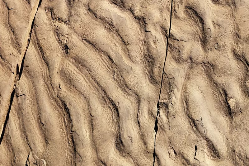 Morocco fossils show life thrived without sunlight 182 million years ago