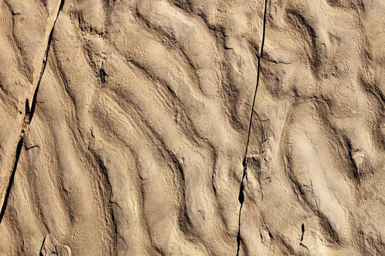 Morocco fossils show life thrived without sunlight 182 million years ago