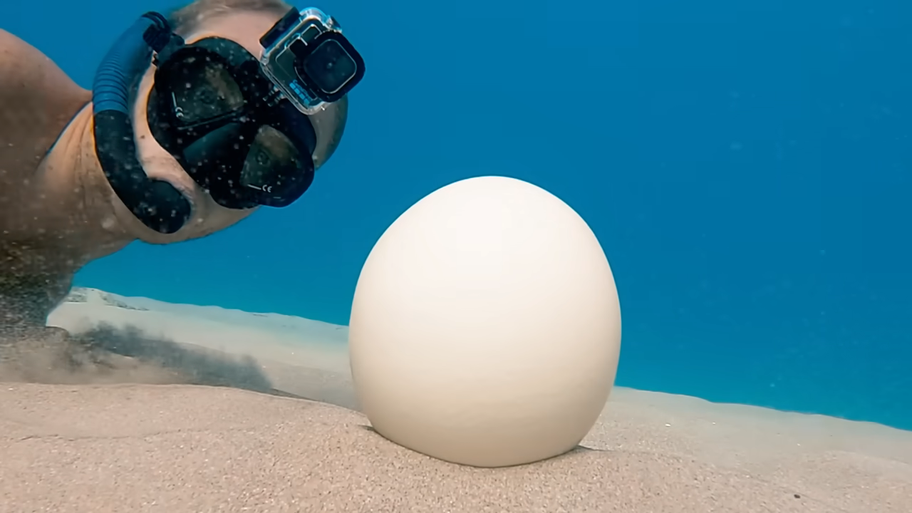 10 feet underwater - then we cracked the world's largest egg