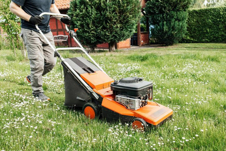 'Easy and effective' gardener's method for immaculate lawn edges every time