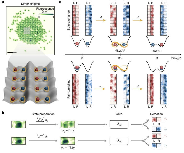 A long-sought quantum computing milestone arrives as fermionic atom ...