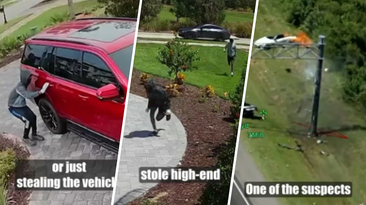 Florida car thieves targeted high-end vehicles in $2M theft spree ...