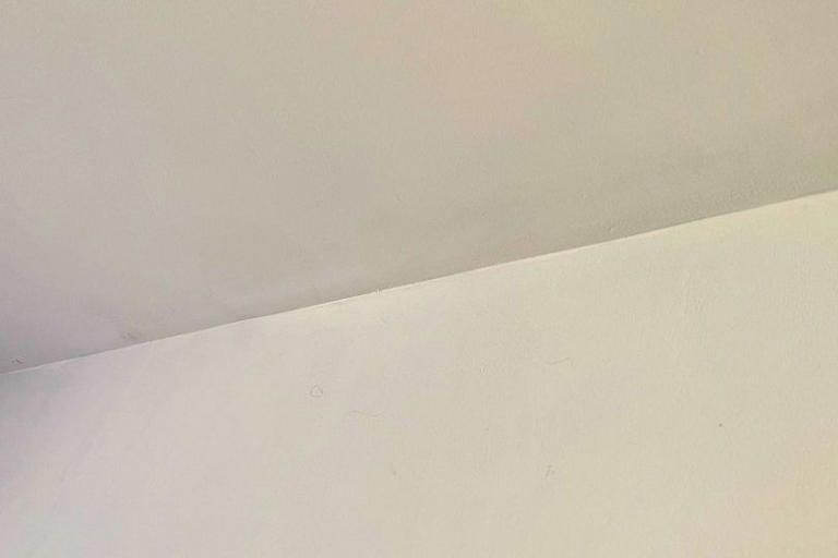 I cleaned mould with 2 supermarket sprays – the cheapest killed the ...
