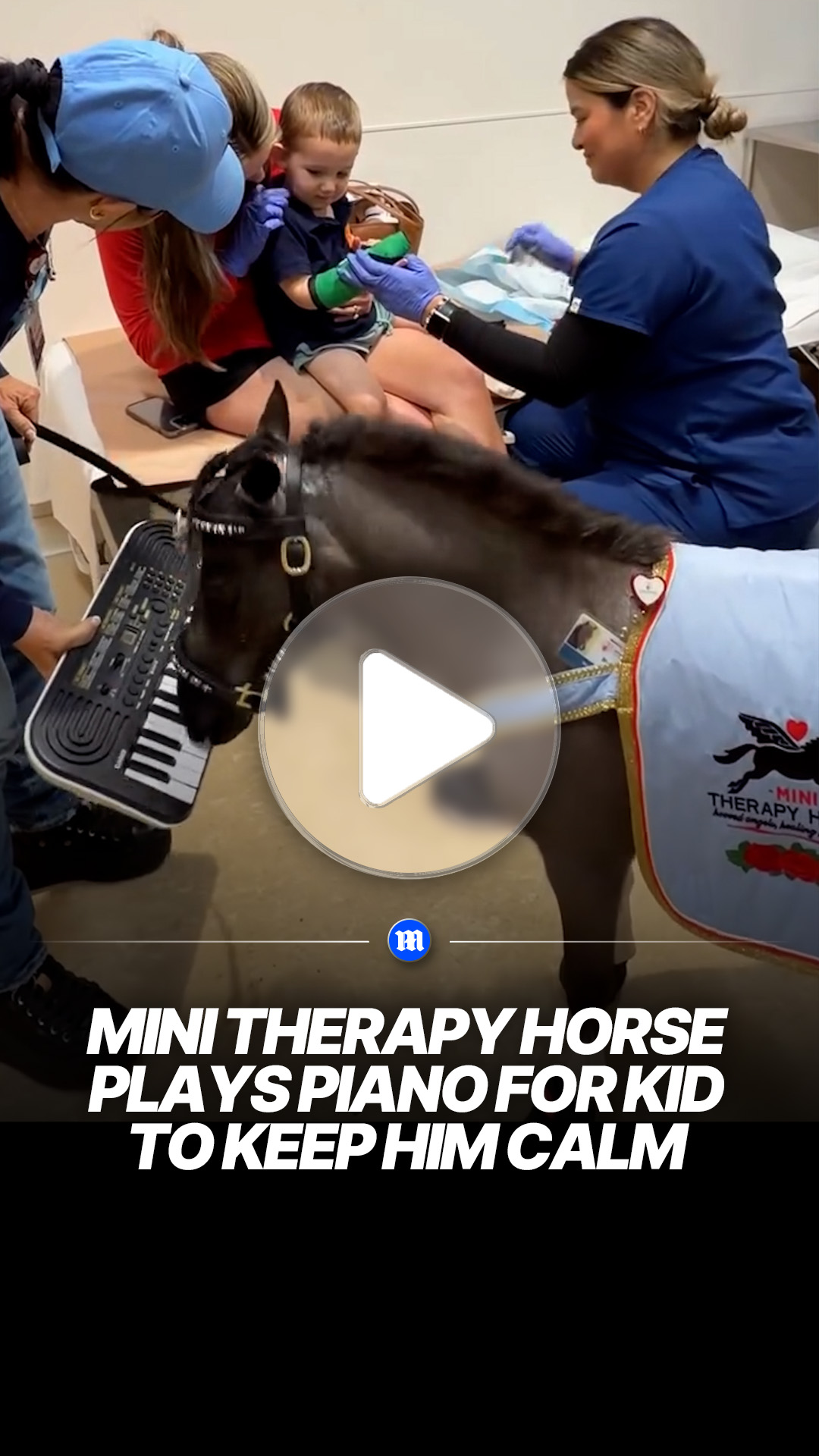 Mini therapy horse plays keyboard to calm young patient