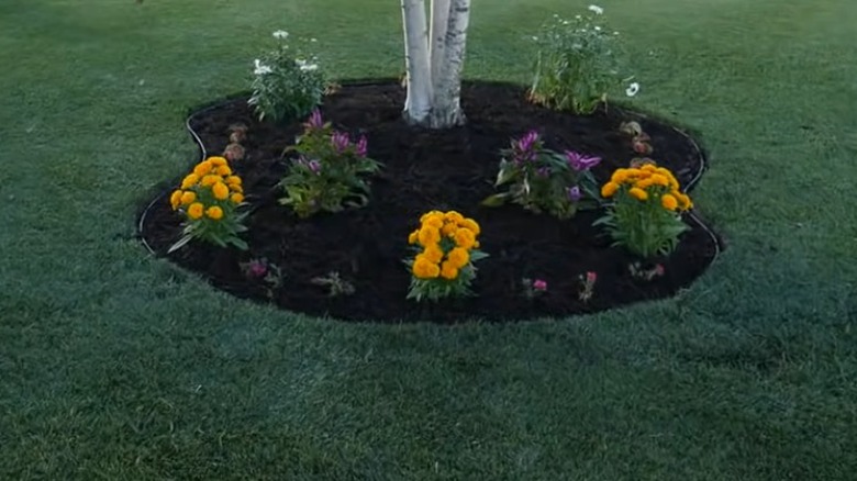 How to use the existing trees in your yard to enhance your landscaping