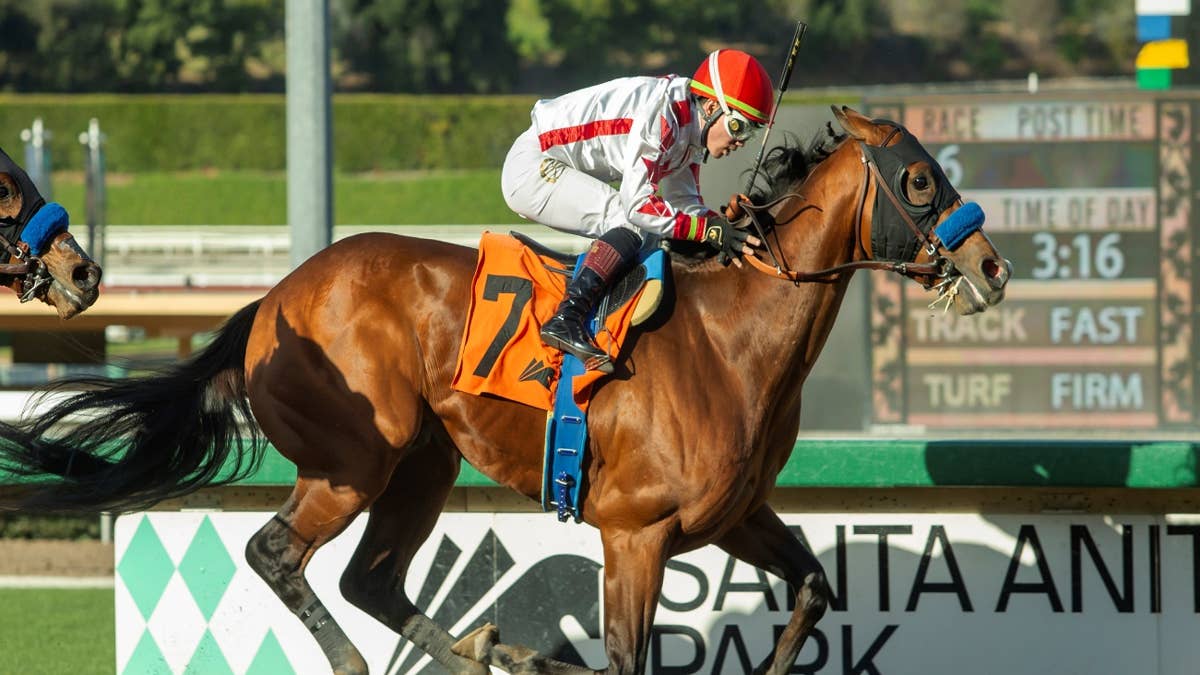 Bob Baffert-trained Potente works at Santa Anita, will ship to ...