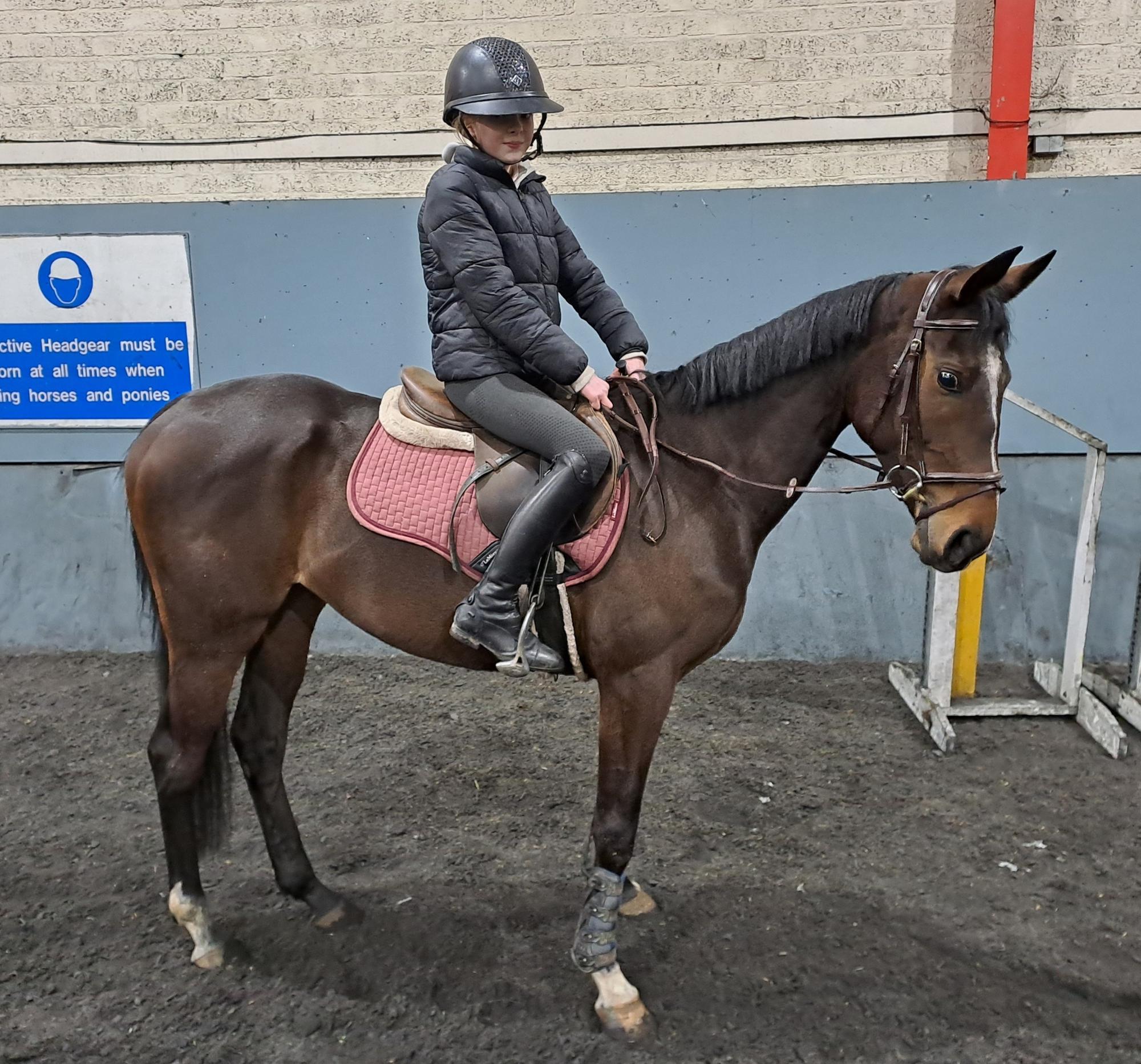 Horse Week: Ecclesville’s showjumping league continues