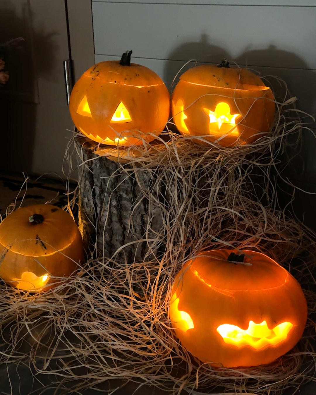 Bat pumpkin is the hype for this Halloween 🦇🎃