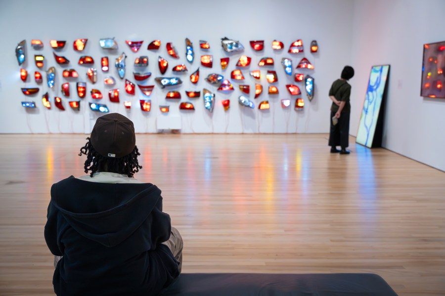 Austin’s Blanton Museum uses coding, data, and AI to explore what it ...