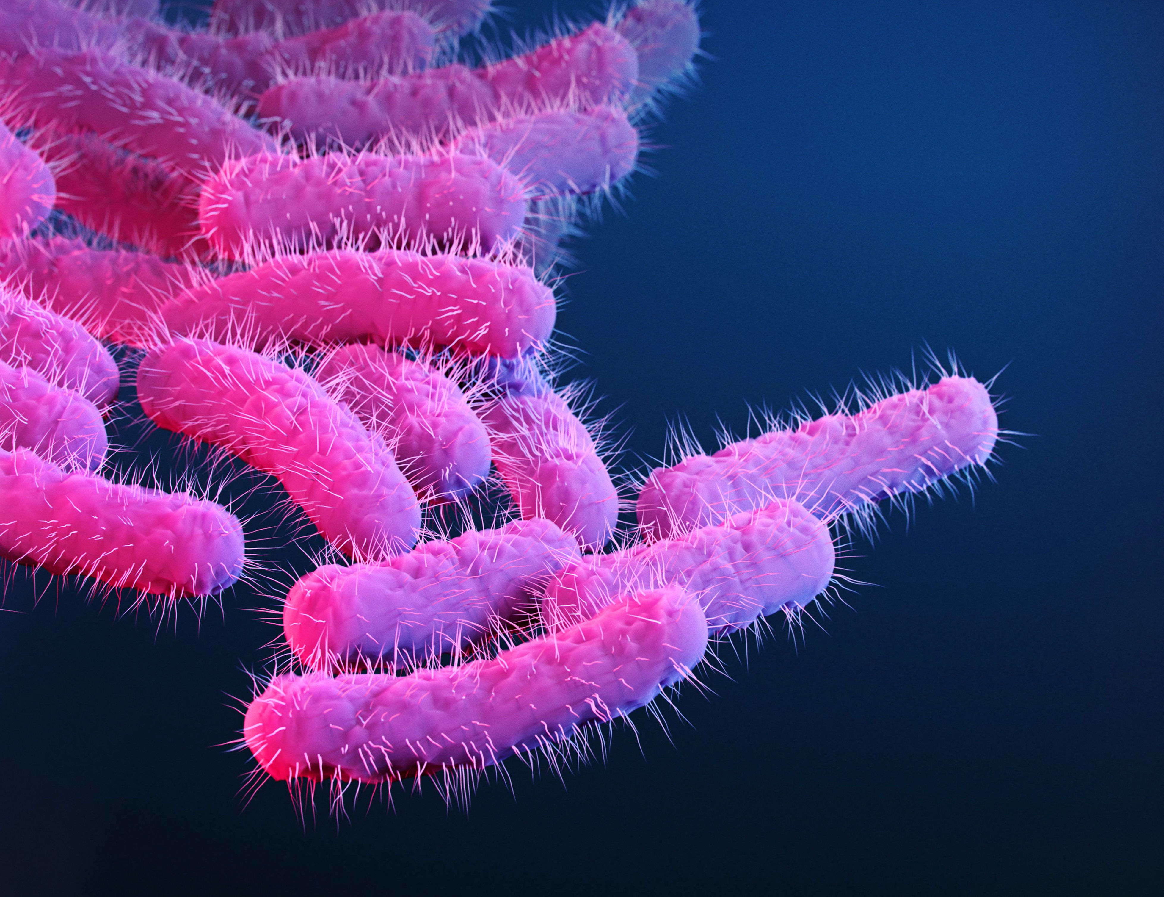 Drug-resistant Shigella bacteria on the rise in US, CDC study reveals ...