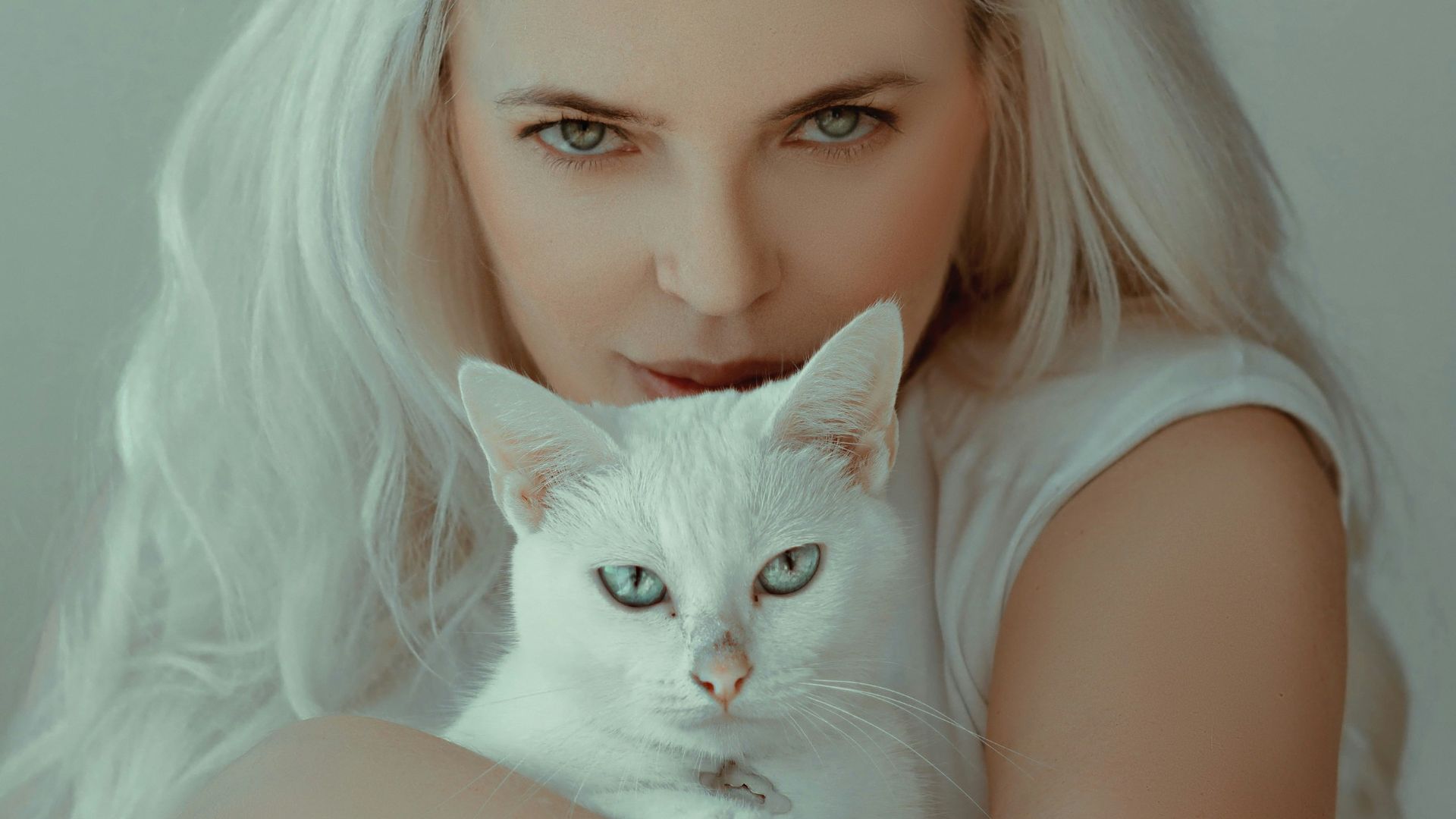 10 “crazy cat lady” signs people deny & 10 that are actually just cozy