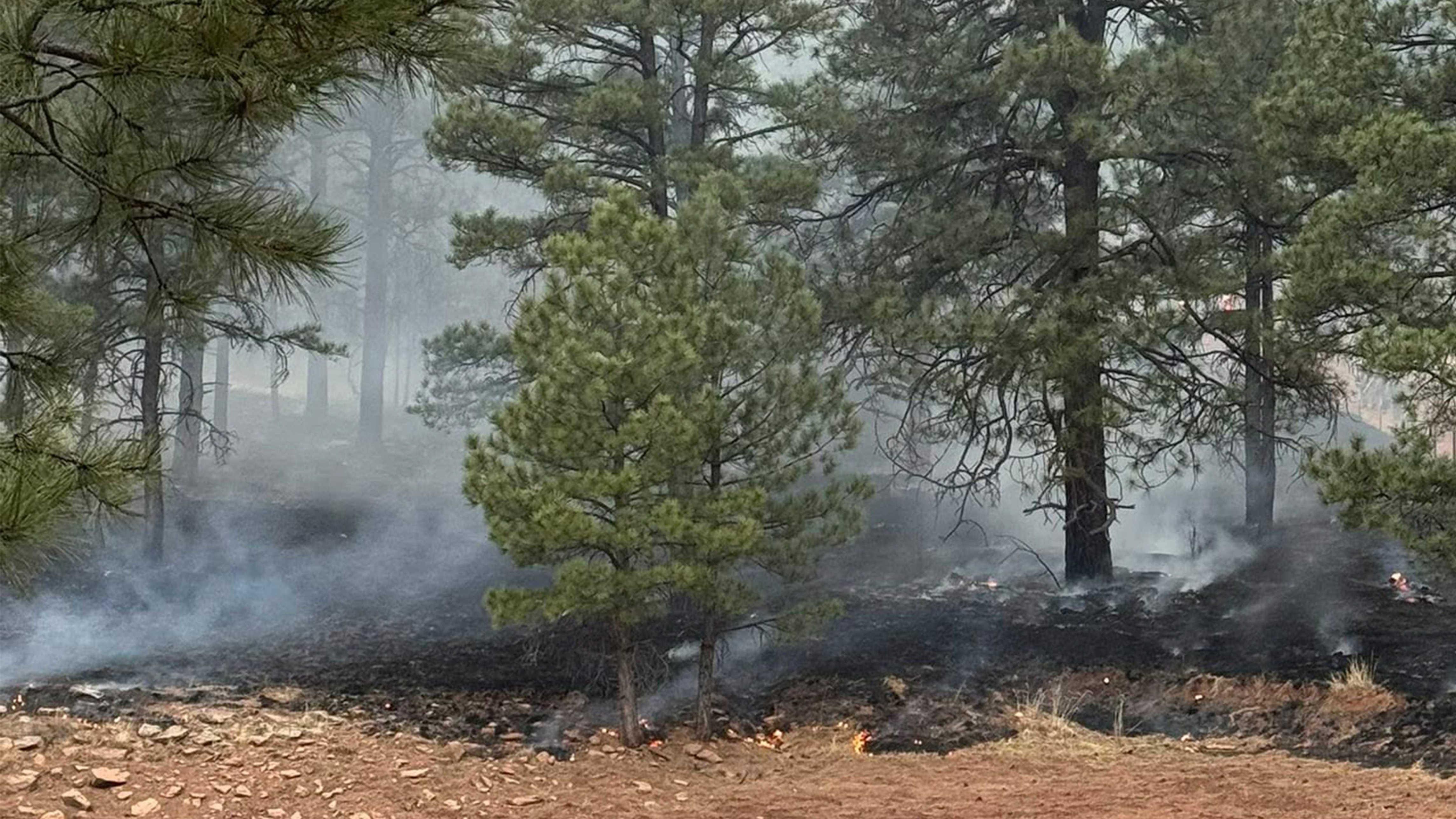 Fire in Mora County near Pine Tree Road