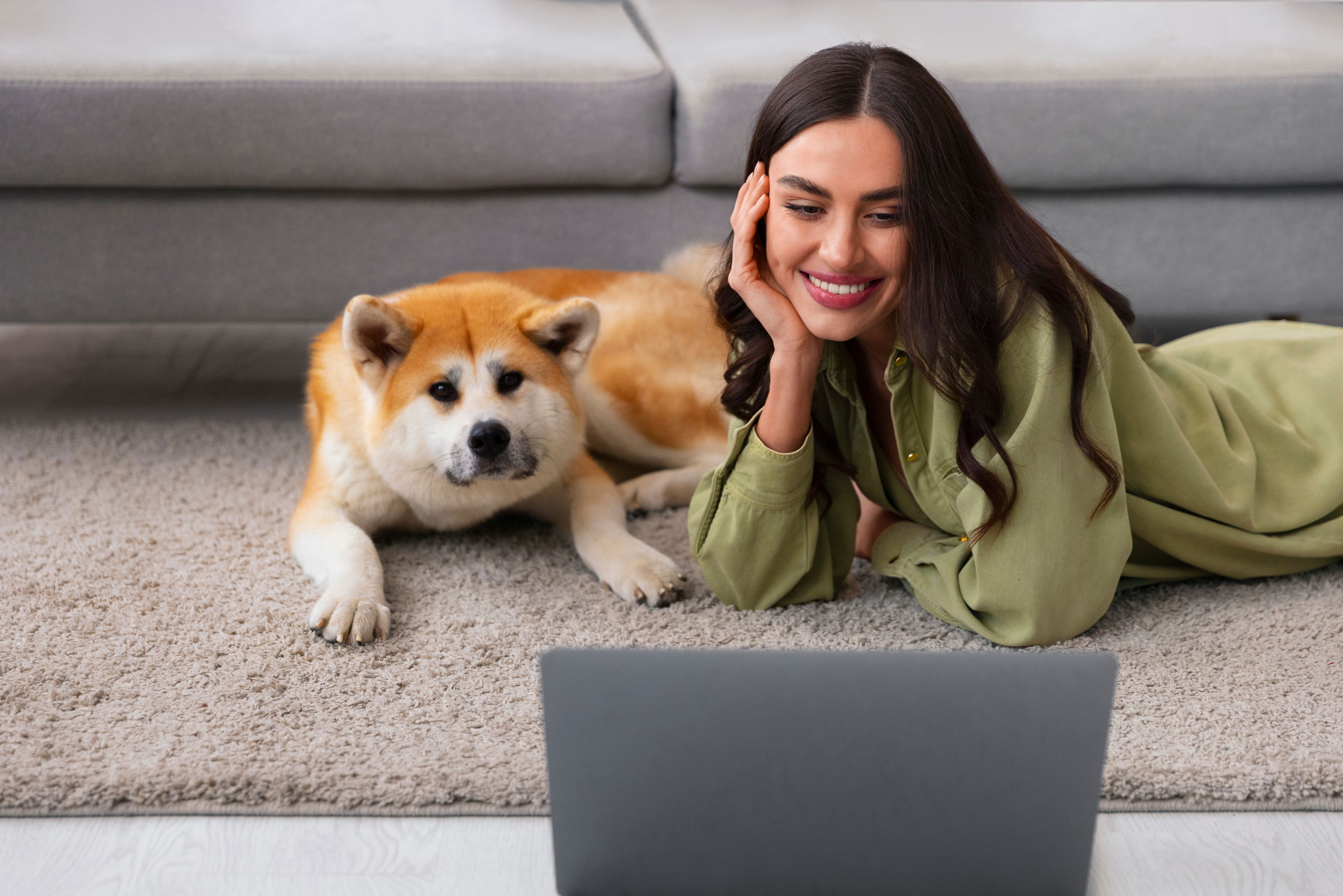¿A los perros les gusta ver la televisión?