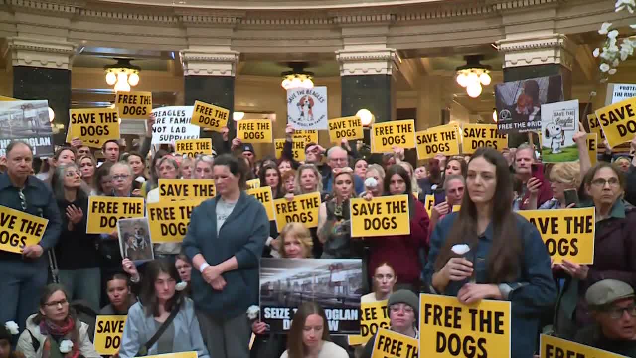 Ridglan Farms activists protest at Capitol, political figures weigh in