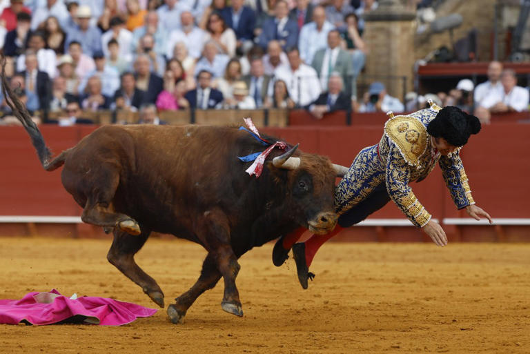 Famed Spanish matador suffers humiliating injury in bullfight blunder