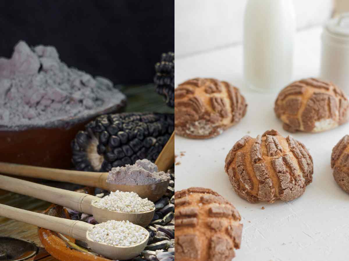 Esponjosas conchas de pinole, un pan delicioso y tradicional