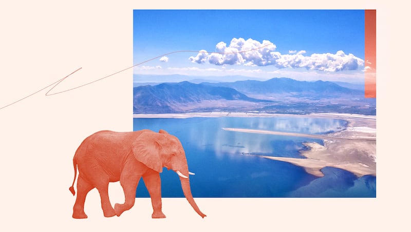 New Utah congressional map opens door for primary challenge of House ...