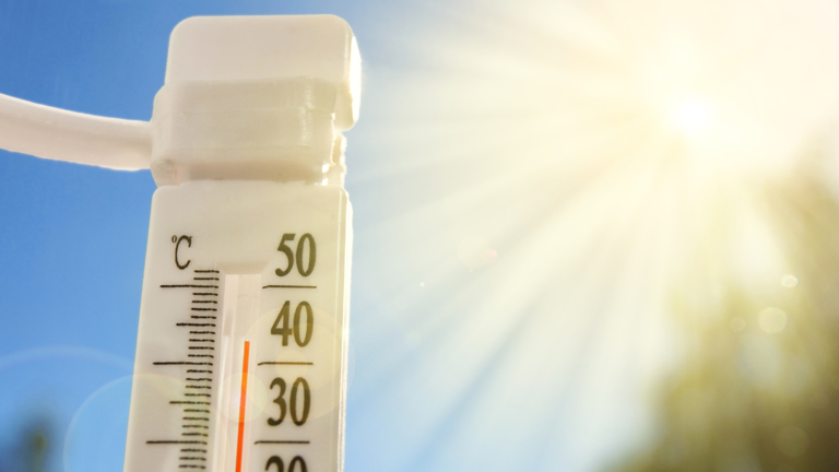 Delhi weather today: Scorching heatwave grips capital as temperature ...