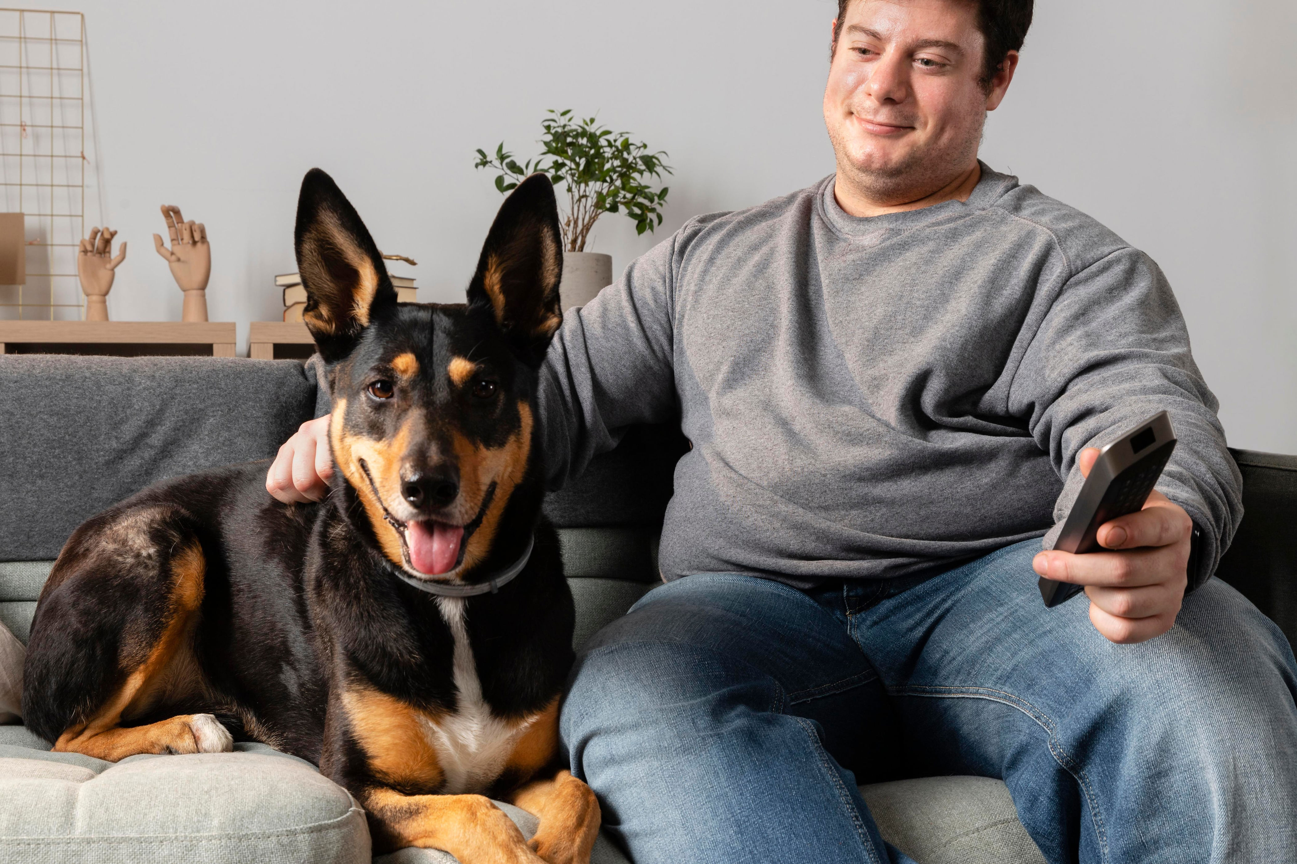 ¿A los perros les gusta ver la televisión?