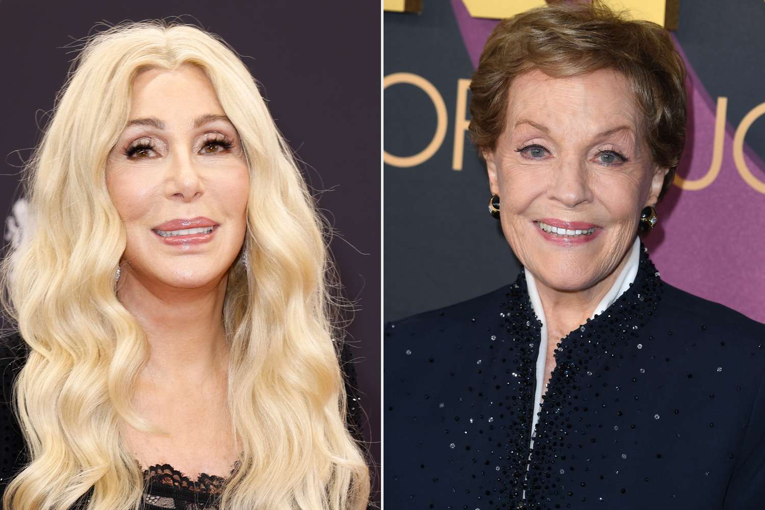 Cher was 'speechless' after discovering her son fathered child with ...
