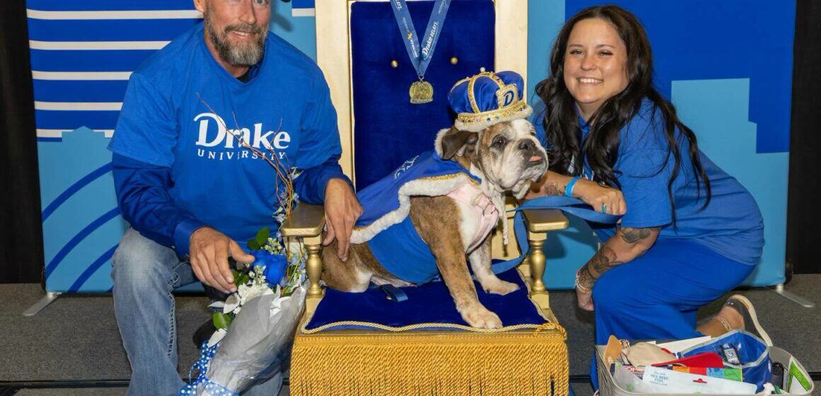 Rescued bulldog from Iowa Falls wins 2026 Beautiful Bulldog Contest