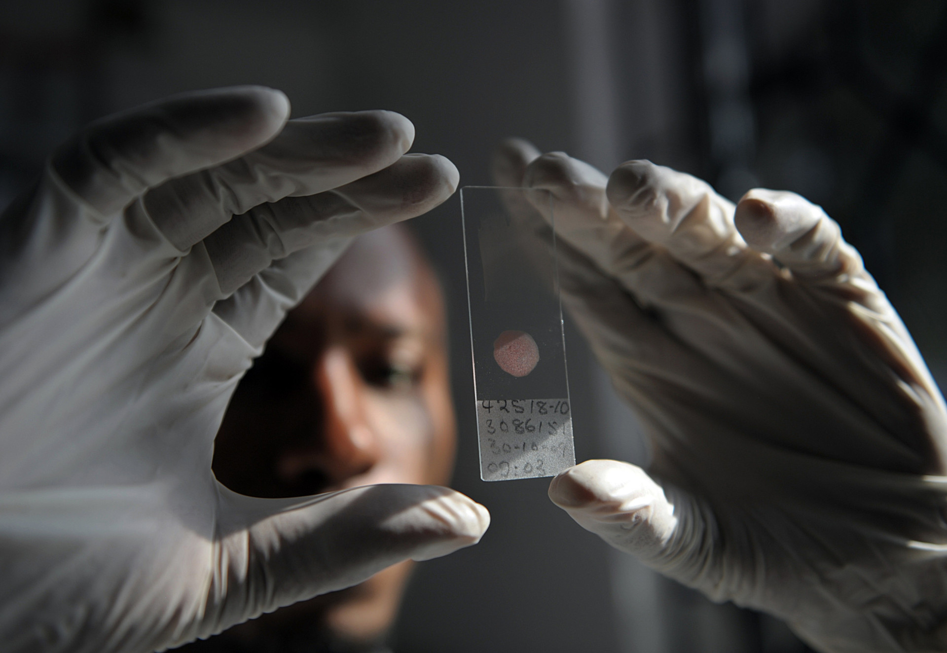 Does your blood type determine your personality?