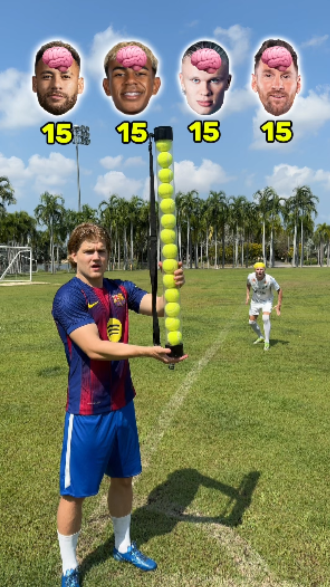 Who Can Stop the Most Falling Balls Speed Challenge