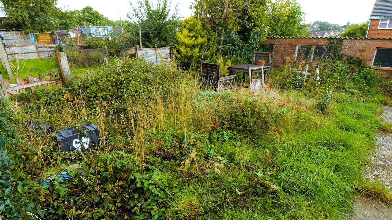 I transformed an overgrown garden