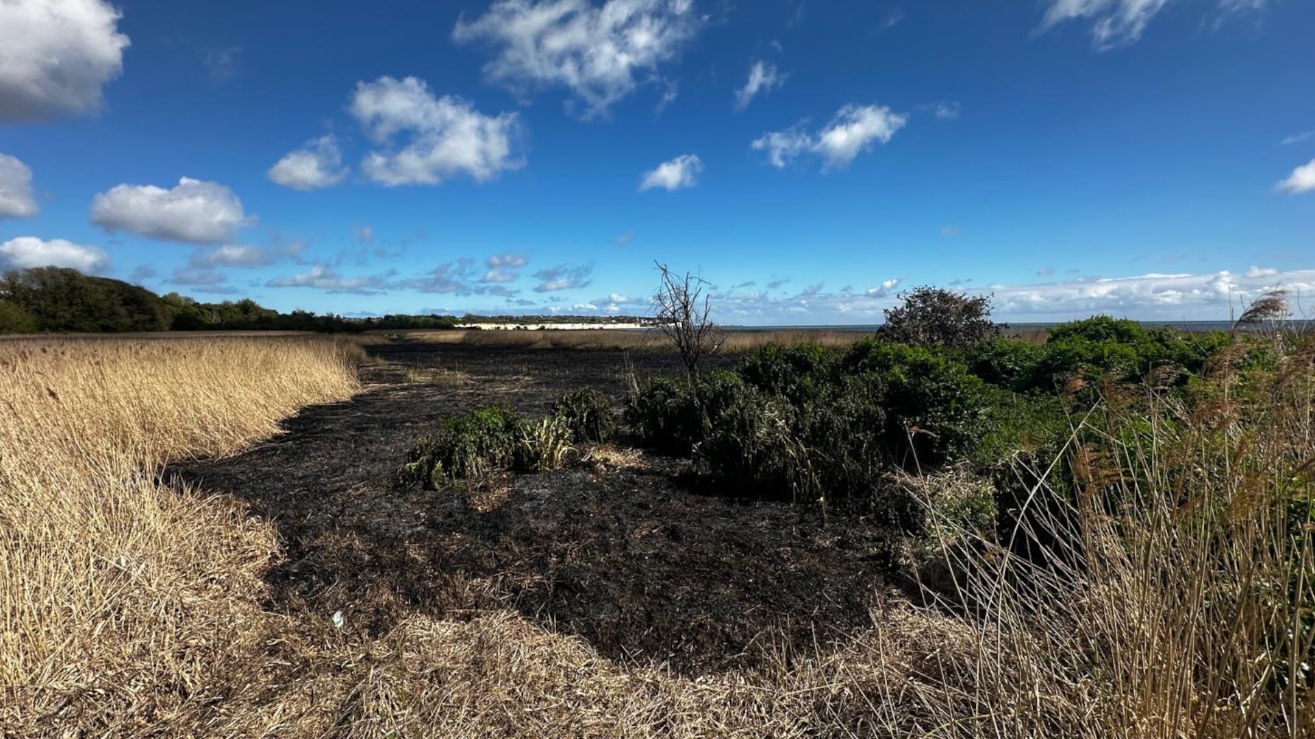 Ramsgate's Pegwell Bay fire being investigated as arson