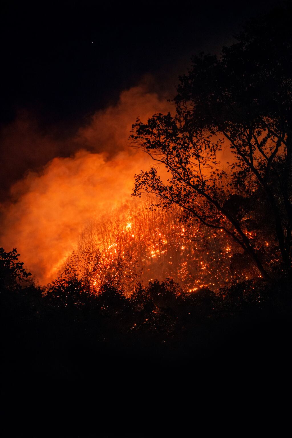 Georgia drought raises wildfire threat as crews respond to over 50 ...