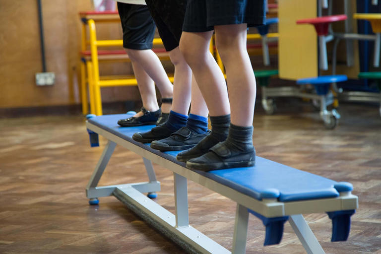 Mid-lifers 'put off exercise by school PE' – charity