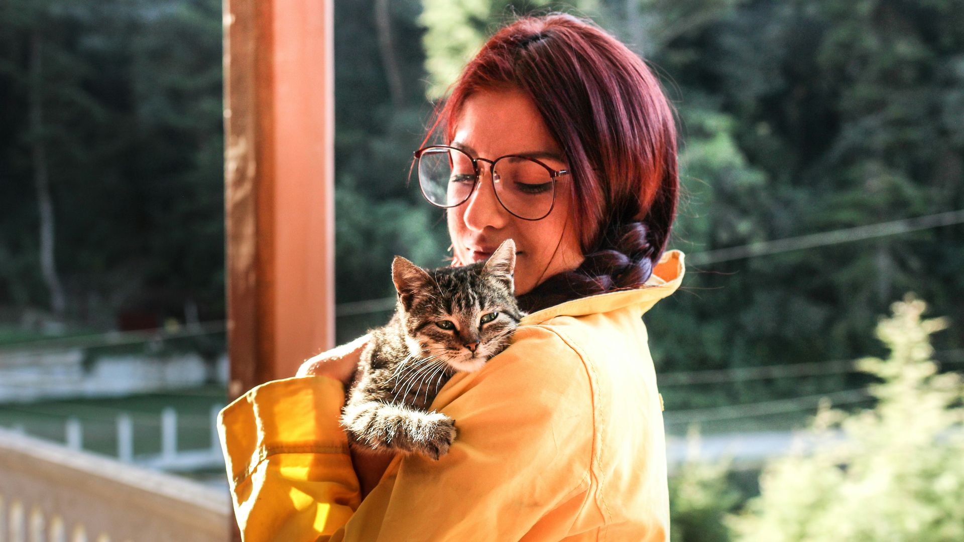 10 “crazy cat lady” signs people deny & 10 that are actually just cozy