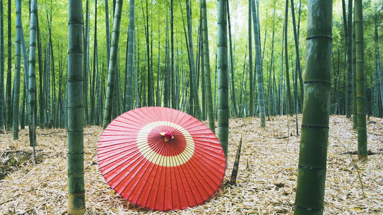 Avoid Kyoto's jostling crowds at these hidden bamboo groves of serenity ...