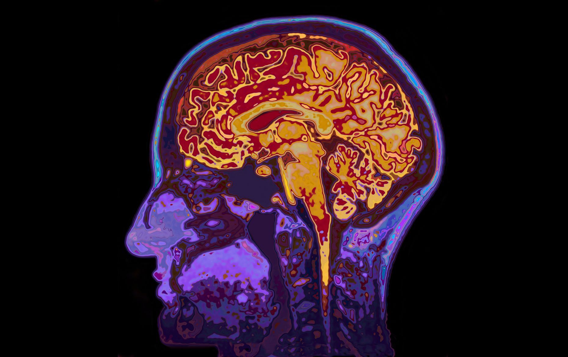 How hormones control our brain and behaviour