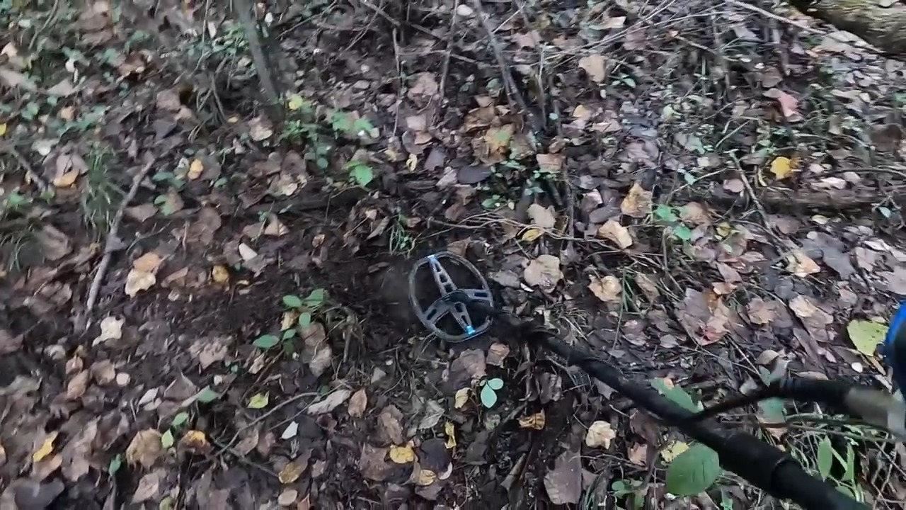 Buried in the woods, this 1700s homesite still holds pieces of early ...
