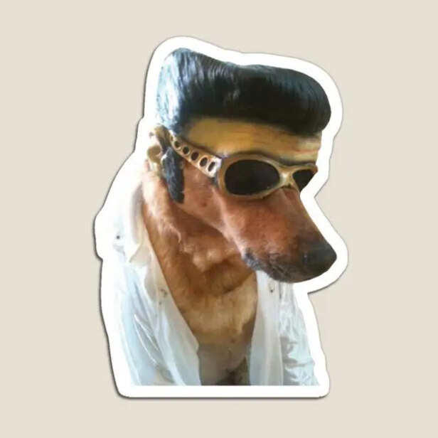 Why social media turned Elvis Presley’s 'Hound Dog' into the weirdest meme