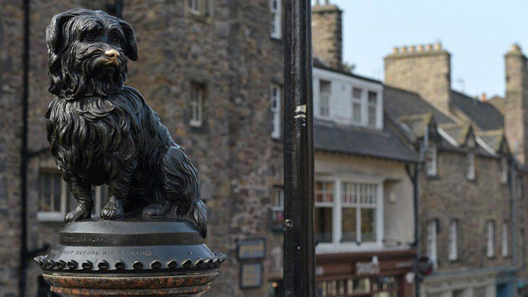 Memorial plans for town's beloved three-legged cat