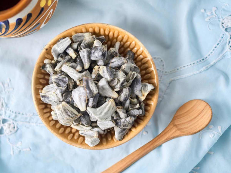 ¿Qué es el huitlacoche?: historia, usos y beneficios del hongo del maíz
