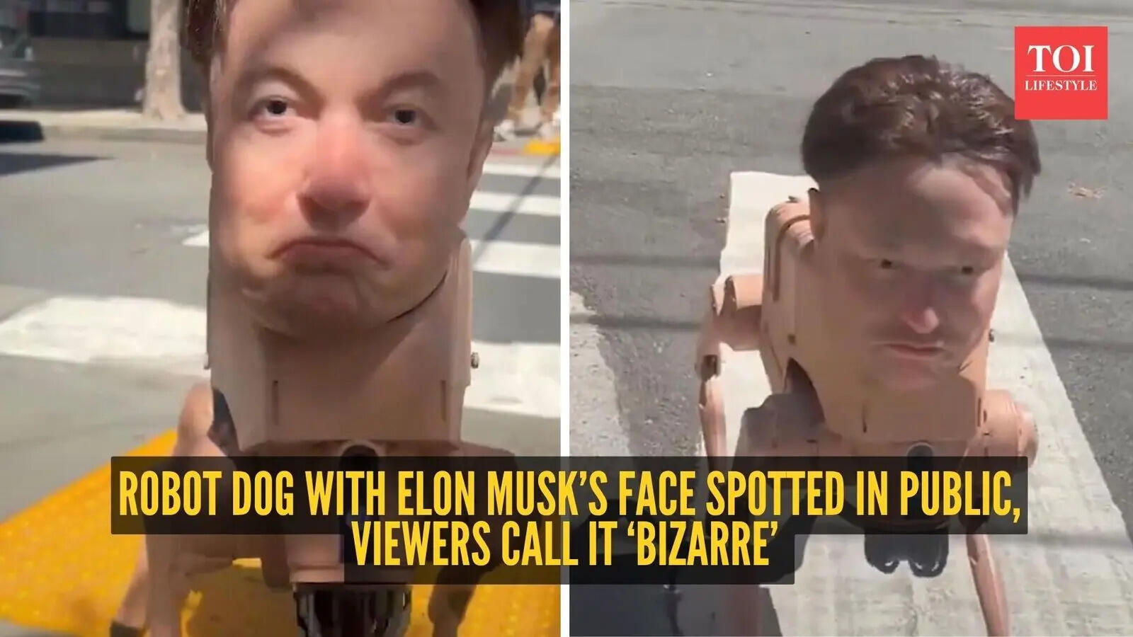 Robot dog with Elon Musk’s face spotted in public, viewers call it ...