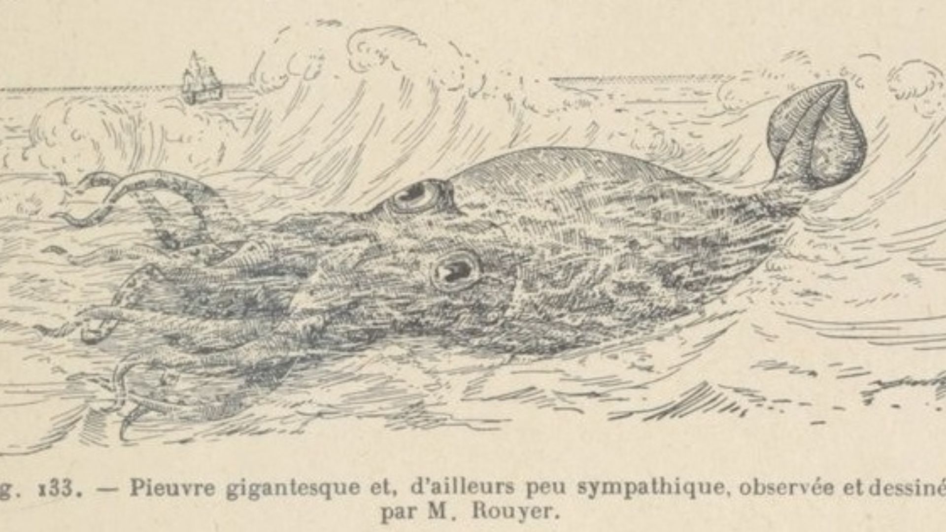 20 historical sea legends sailors everywhere feared
